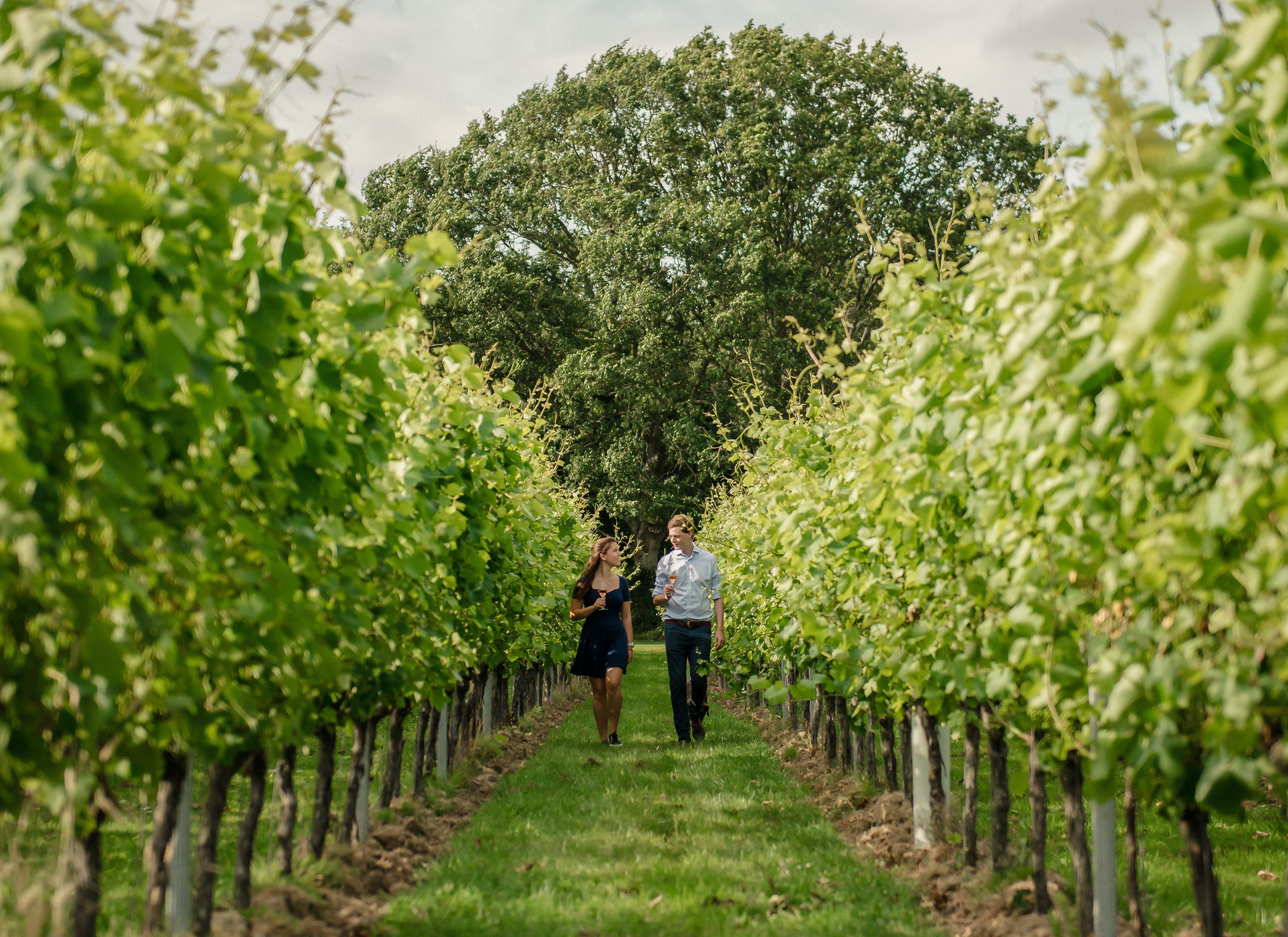 Visit - Rhythm of Kent